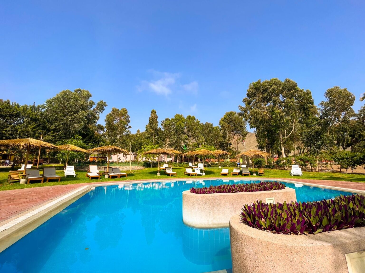 Las lomas de Mala | Malaperu.com 2024 | Distrito de Mala Cañete Lima