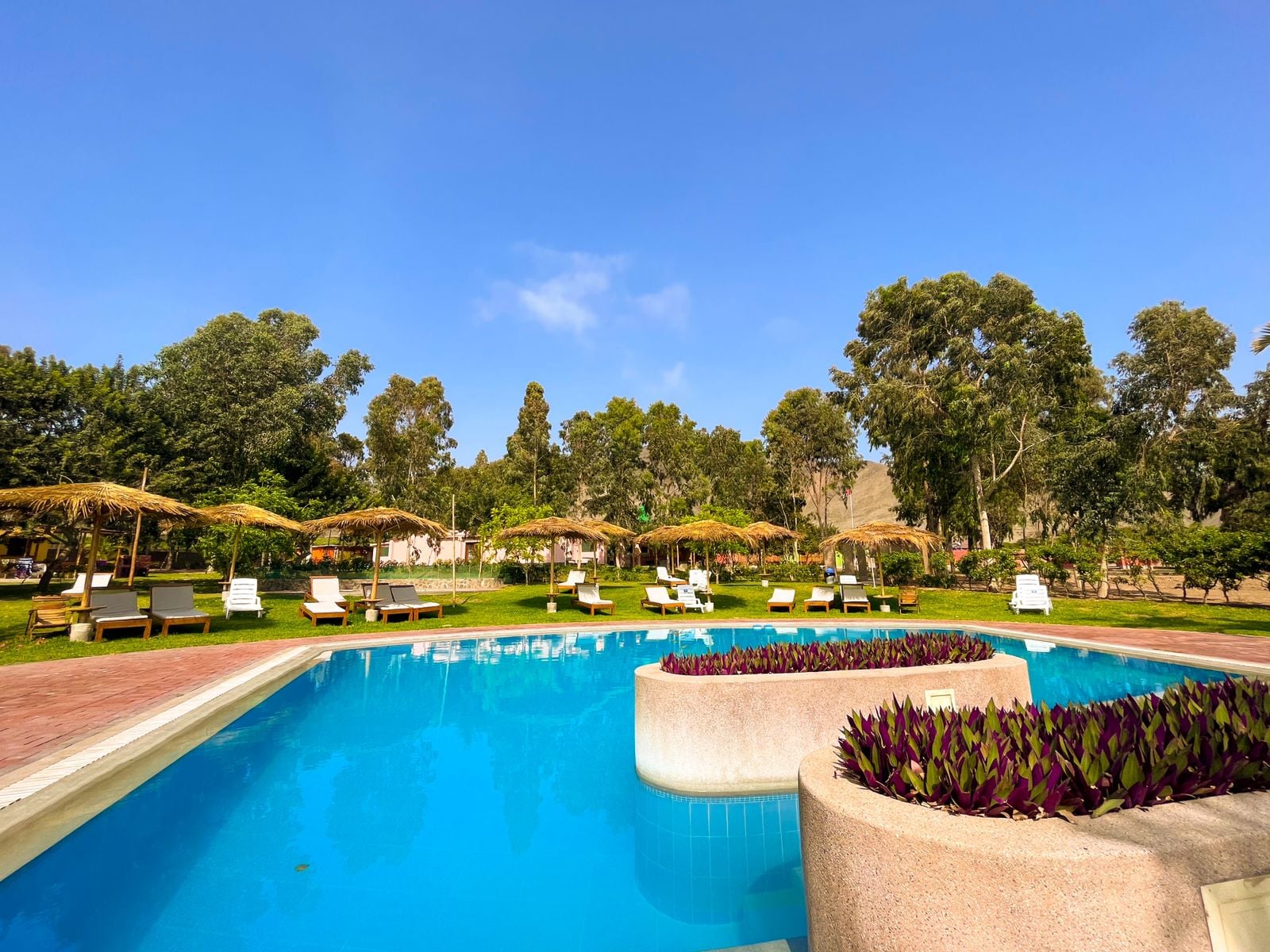 Las lomas de Mala | Malaperu.com 2024 | Distrito de Mala Cañete Lima